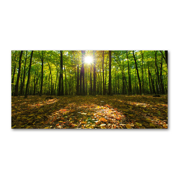Union Rustic Wald - Kunstdrucke auf Leinwand - Wrapped Canvas | Wayfair.de